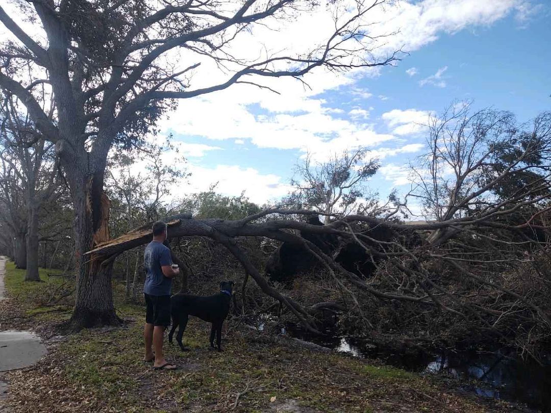 Post Hurricane Update